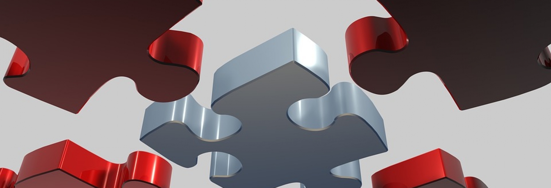 POR LO CONSIGUIENTE – Defensa del idioma